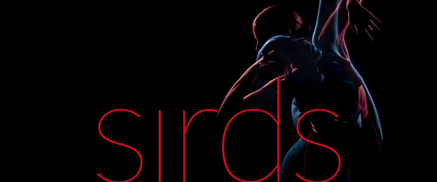 Dejas izrāde "Sirds"